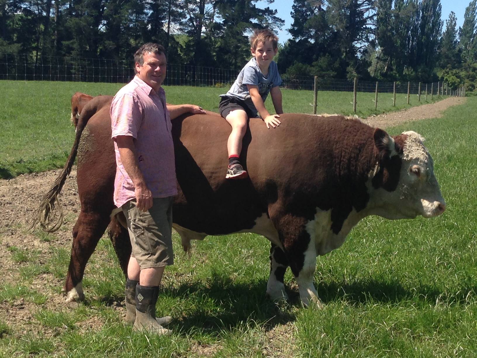 Gallery – Orari Gorge