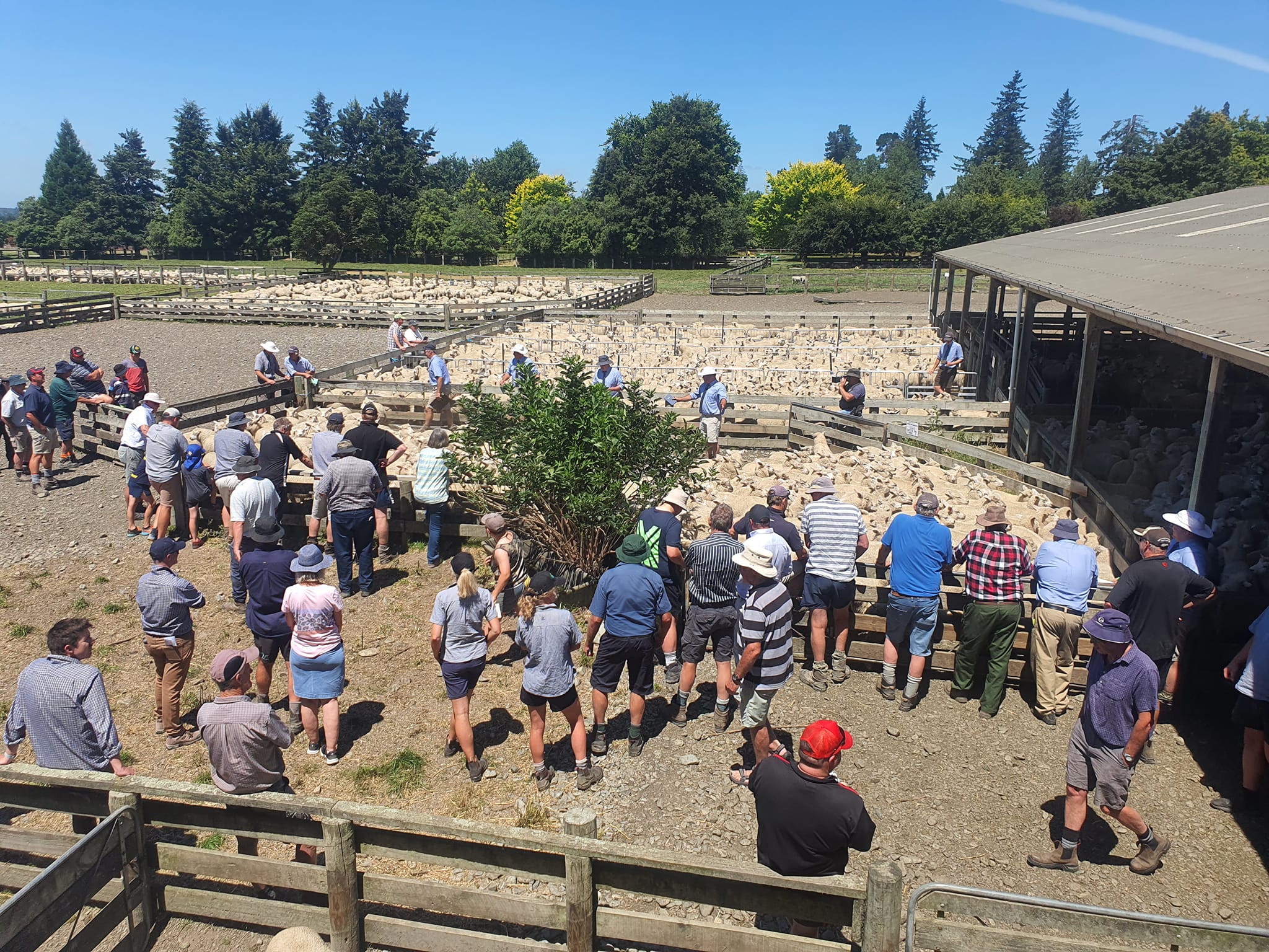 Gallery – Orari Gorge