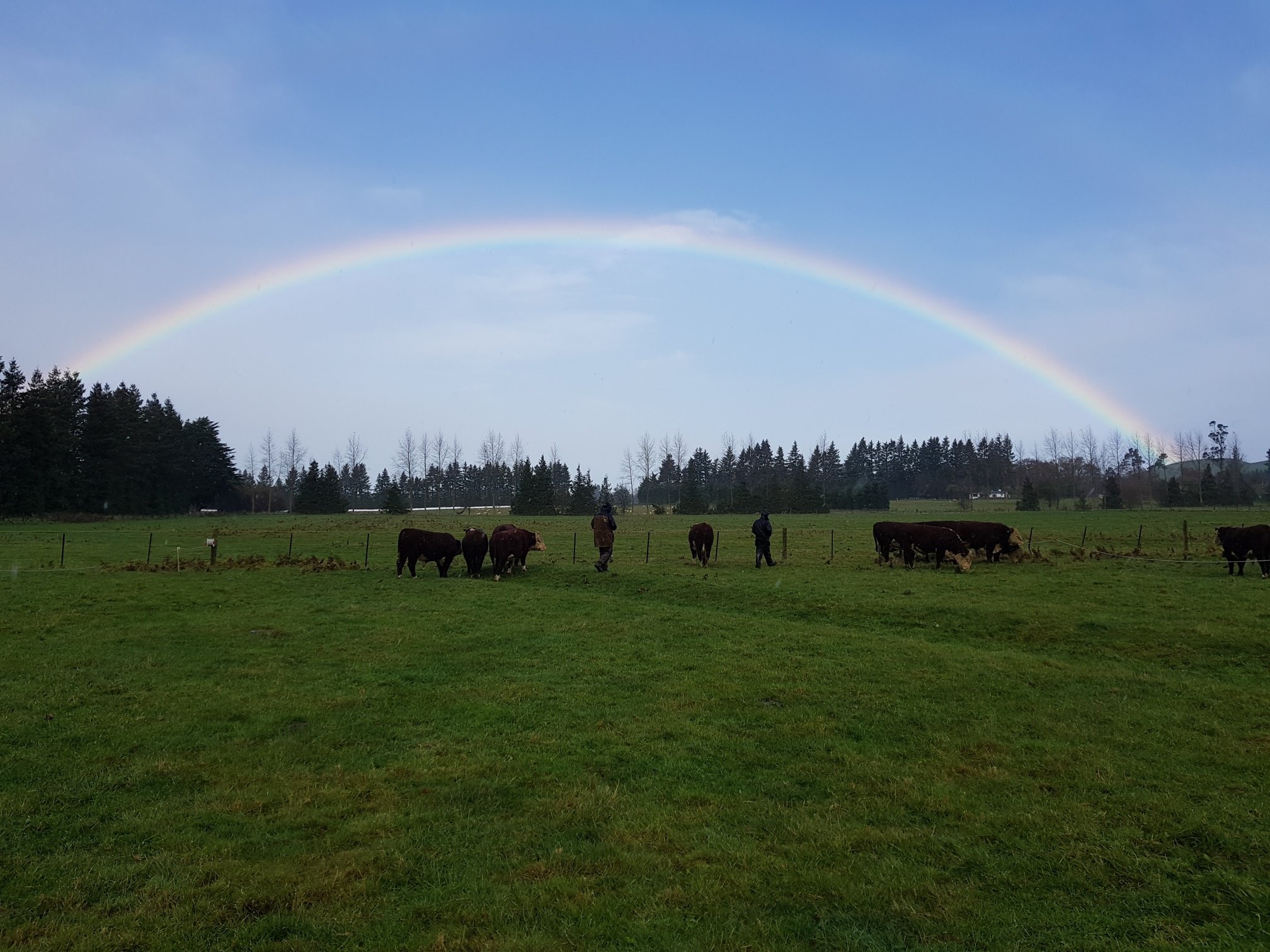 Gallery – Orari Gorge