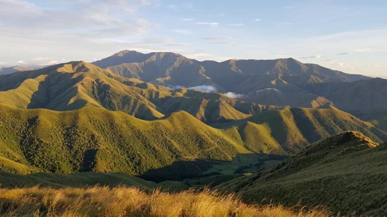 Gallery – Orari Gorge